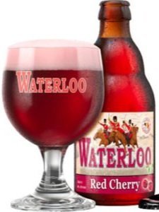 Waterloo 33cl – Beer Glass Enthusiast